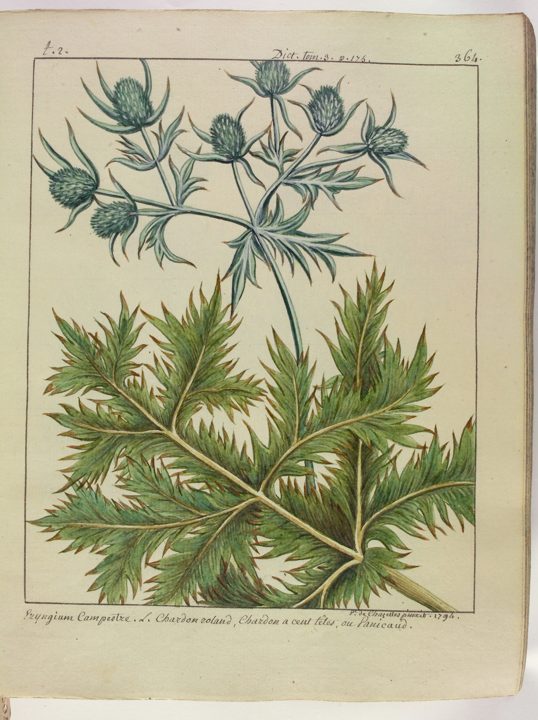 Limédia Galeries - Images